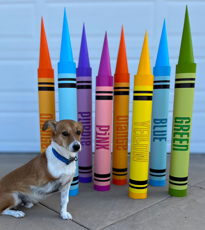 Blog – Nikki August